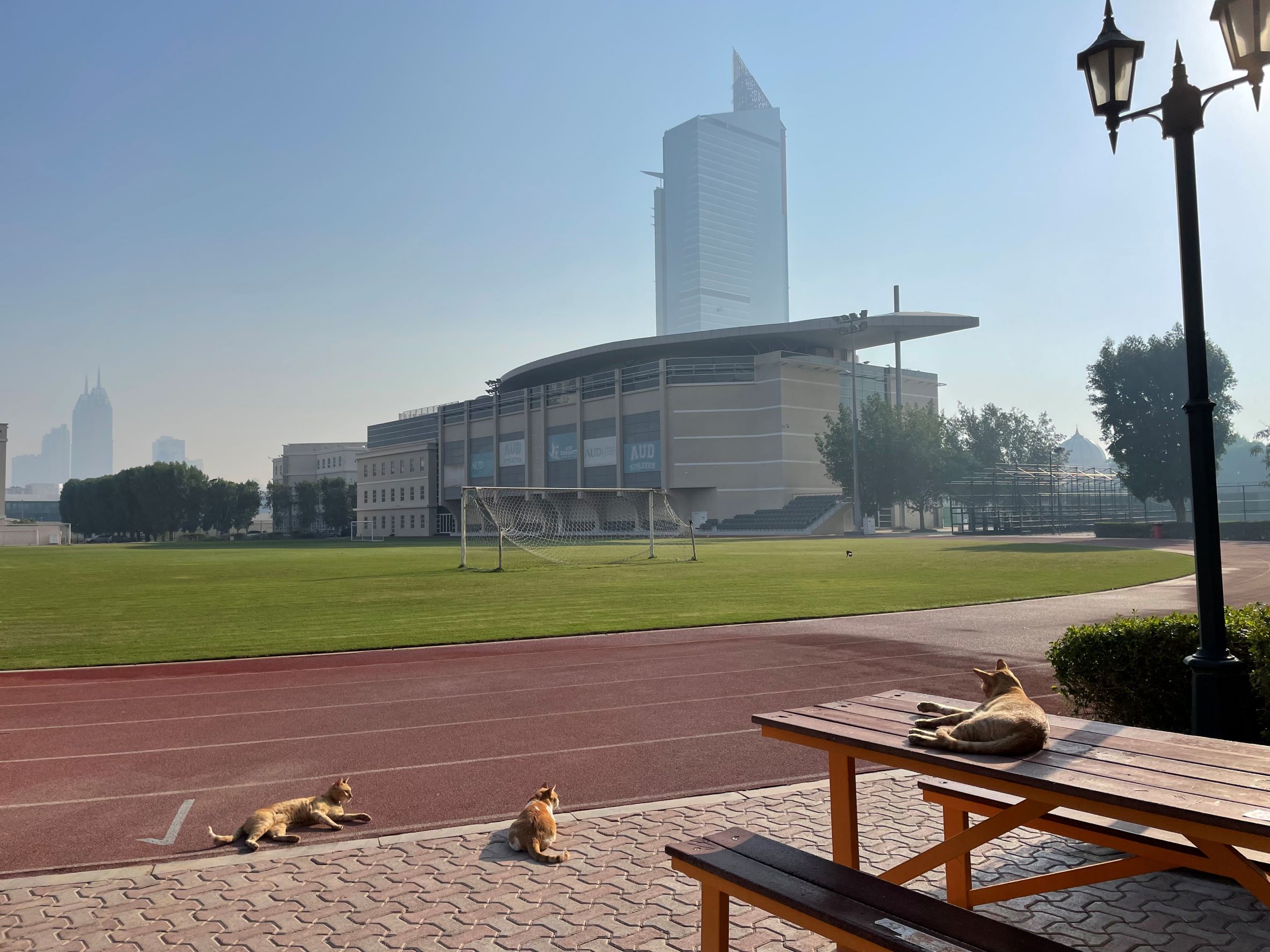 American University in Dubai Direct Enroll | Amideast USA